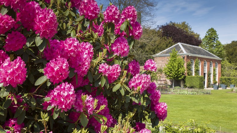 Dunham Masseys Garden Greater Manchester National Trust